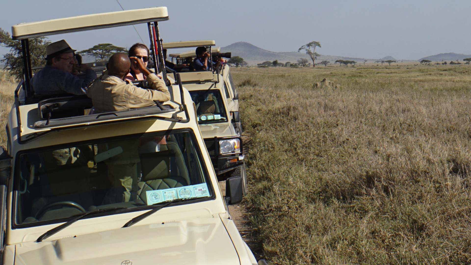 Safari Guide für dein einmaliges Erlebnis in der Wildnis - Whale of a ...
