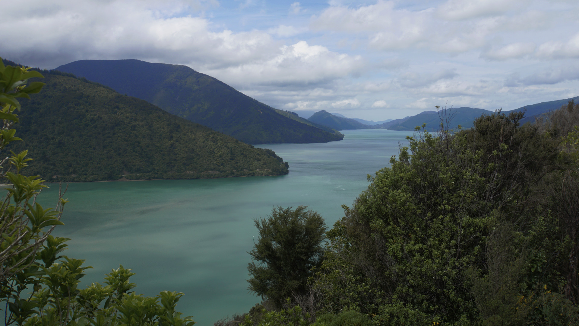 Neuseeland: 3 Wochen Roadtrip | Whale of a Time Travelblog